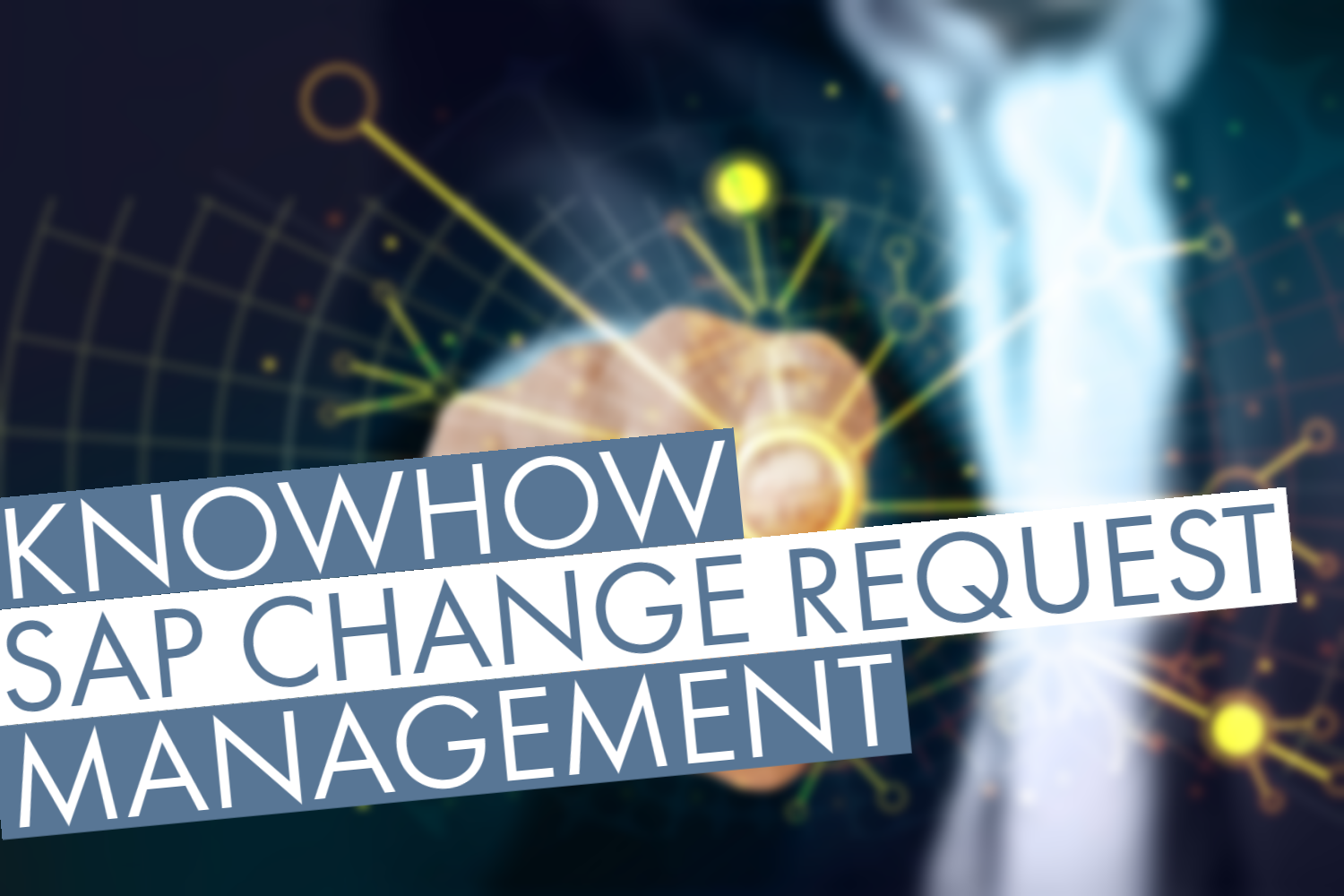 SAP ChaRM -Change Request Management Vs Focus Build - InfoCorpERP